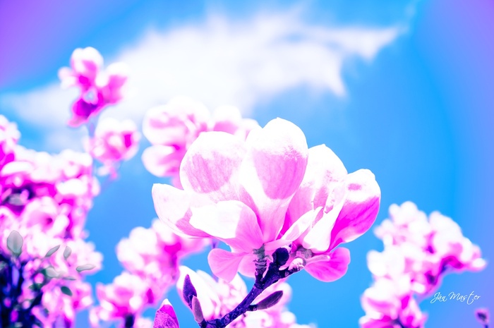 04. The Way of Light - Light is the Way :: DoreánMaster - Život z Harmonie