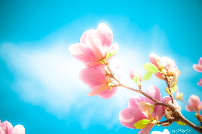 07. The Way of Light - Light is the Way :: DoreánMaster - Život z Harmonie